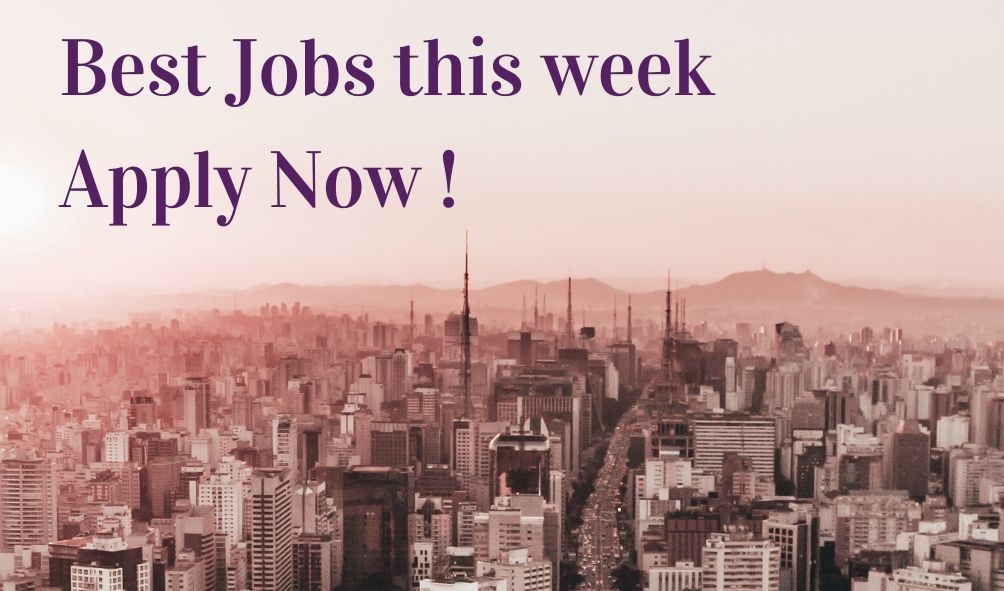 Daily Job Updates - PloPdo